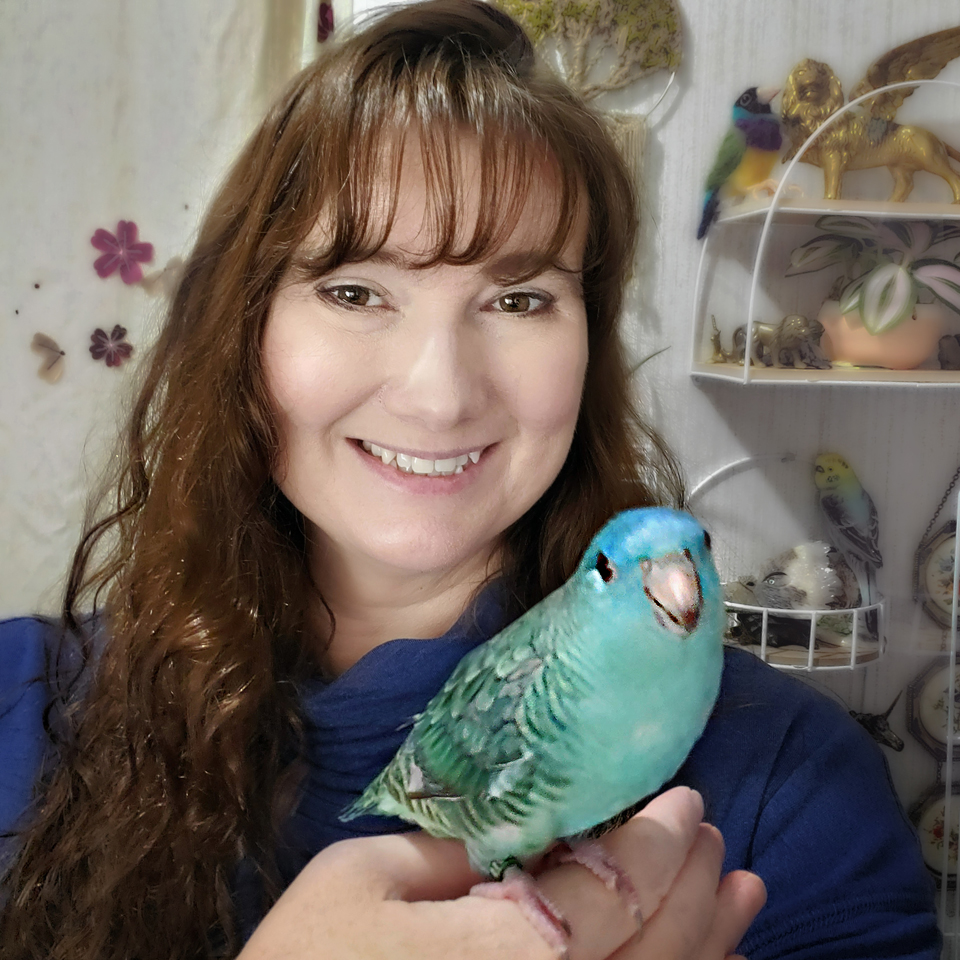 SRT Practitioners – Healing the wounded spirit